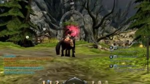 Dragon Nest,    Обзор на наёмника