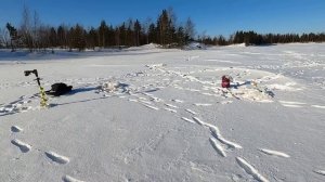 МЫ С МАКСИМОМ НЕ ВЫДЕРЖАЛИ И РВАНУЛИ НА ПРАЗДНИЧНУЮ РЫ