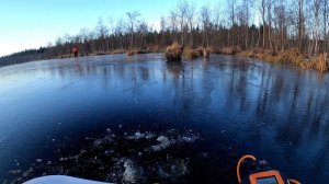 рыбалка 12.12.24 в Ленинградской области
