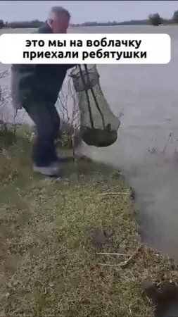 Приехали на воблу а идёт...сейчас покажем.#ловимрыбку #?