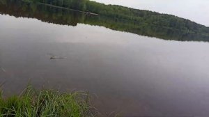 Озеро Малый Исток.Отличная👍 рыбалка .9 июня 2024 г.