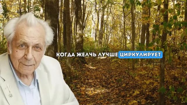 Печень заживает без лекарств! Секреты Ивана Неумывакина
