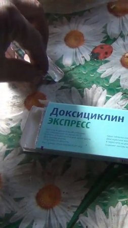 Если Укусил Клещ и для Профилактики Боррелиоза в Тайг?