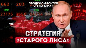 Стратегия "старого лиса"