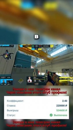 Ставки История про система ставок