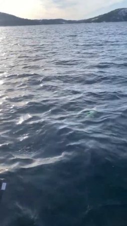 Ловля Крупной Трески в Норвегии