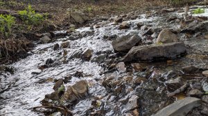Дикий ручей - Wild stream