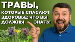Травы для Здоровья от настоящего Ботаника: Применение и Современные Исследования