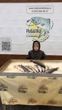 Замечательный улов щуки! / Платная рыбалка в Егорьевск