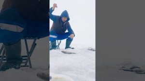 Зимняя рыбалка на озере Алаколь, как оно есть!)