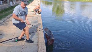 Thailand. Pattaya. Fishing. Catfish. Тайланд. Паттая. Рыбалка.