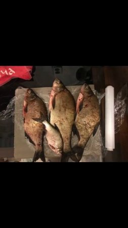 И пусть весь мир подождёт! #рыбак #рыбалка #carpfishing #fishing #
