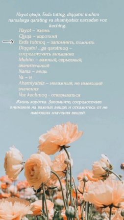 Узбекский язык. Учим слова из предложения на узбекском. O‘zbek tili.