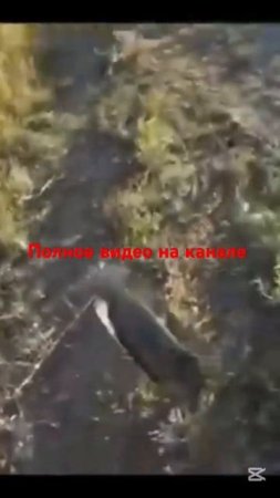 Рыбалка новинки с рогаткой #fishing #2024