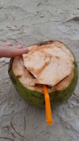 Как открыть кокос без ножа! Лайфхак