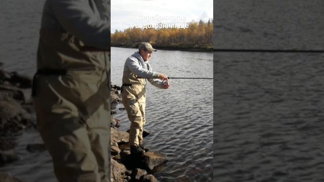 #андрейординарцев #водохранилище #назадвссср Серебря?