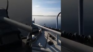 Рыбинка весной