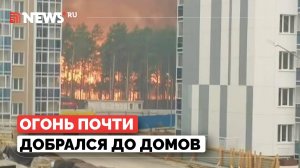 Лесной пожар вплотную подобрался к многоэтажкам в Амурской области