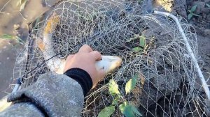 АСТРАХАНЬ,РЫБАЛКА НА ПОПЛАВОК!РЫБАЛКА ДЛЯ ДУШИ!🎣 #пут