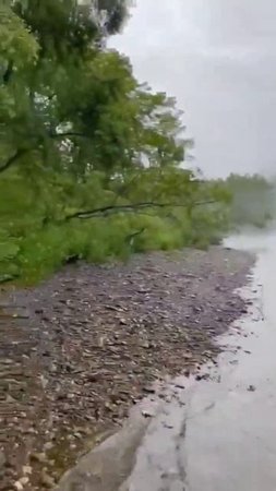 Сима на спиннинг💪🏽#fishing #вездеход27 #дальнийвосток #р?