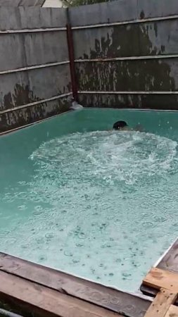 Бассейн🏊 как то так