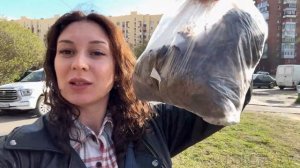 ДИКИЙ ГИБРИДНЫЙ КОТЕНОК БОИТСЯ, НО ХОЧЕТ ОБЩЕНИЯ / Навестила бобра Муру в клинике