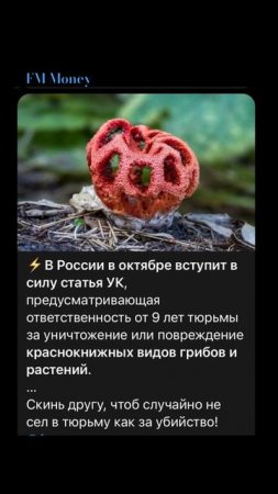 #грибы #уголовноедело #биржа #акции #новости #инвестици