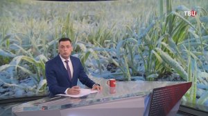 На юге России аграрии подсчитывают потери от майских заморозков / События на ТВЦ