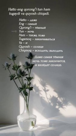 Узбекский язык. Учим слова из предложения на узбекском. Oʻzbek tili.
