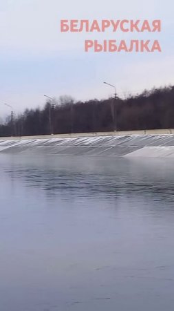 #fishing #fish #nature #fisherman #walleye #zander #рыбалка #spinning #icefishing #fishingvi