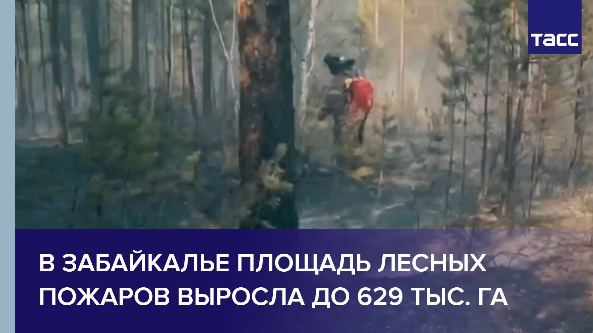 В Забайкалье площадь лесных пожаров выросла до 629 тыс. га