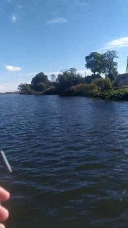 2 день рыбалки. За 2 дня 4 кг окуней.#carpfish #рыбалка #fishing #sh