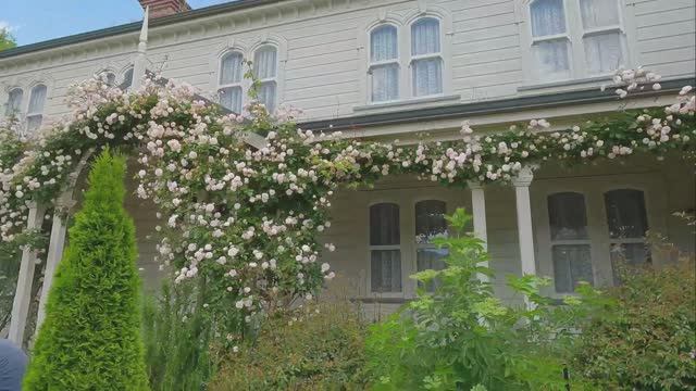 Hamilton Gardens Part 2 / Тематические Сады в Гамильтоне. Часть 2.
