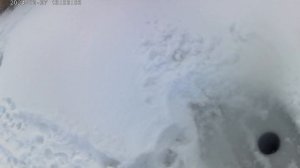 Рыбалка близ Алматы. Ловлю форель на Диком озере.