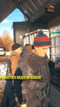 Как в один день зарыбить две сотни тысяч больших рыб Р?