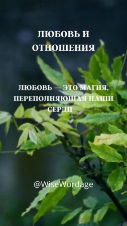 Свет в темноте: Вдохновляющие цитаты