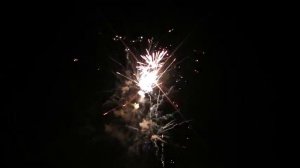 Дворянское Гнездо 31 августа 2012 г.
