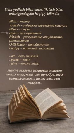 Узбекский язык. Учим слова из предложения на узбекском языке. O‘zbek tili.
