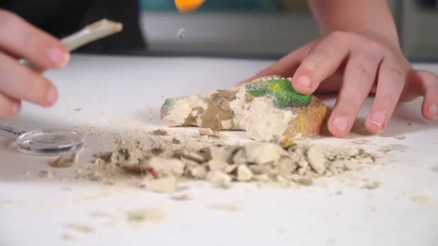 National Geographic Игровой набор "Изучаем динозавров"