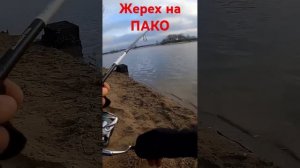 Рыбалка на Спиннинг. Середина Января. Москва - Река. #nekf