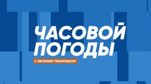 Часовой погоды | 14 мая 2025 года