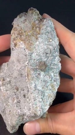 Андрадит пирит и кварц на матрице