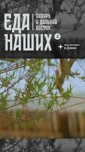 Третья серия гастрономического сериала «Еда наших» уже на канале  Приятного просмотра! #foodru