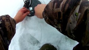 Форза 600. первый выезд. рыбалка жерлицы и уха