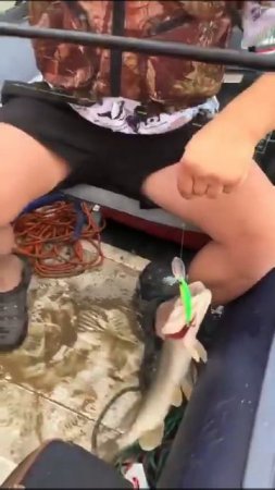Селитренное Рыбалка 2022 🎣