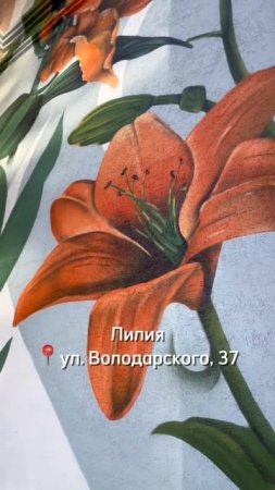 МУРАЛЫ КУРГАН 2024