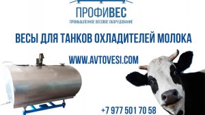 Весы для танков охладителей молока (бункерные весы)