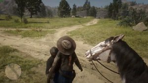 Финансовая грамотность | Red Dead Online
