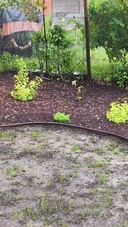 Краткий обзор посадок миксбордера и альпинария🌿