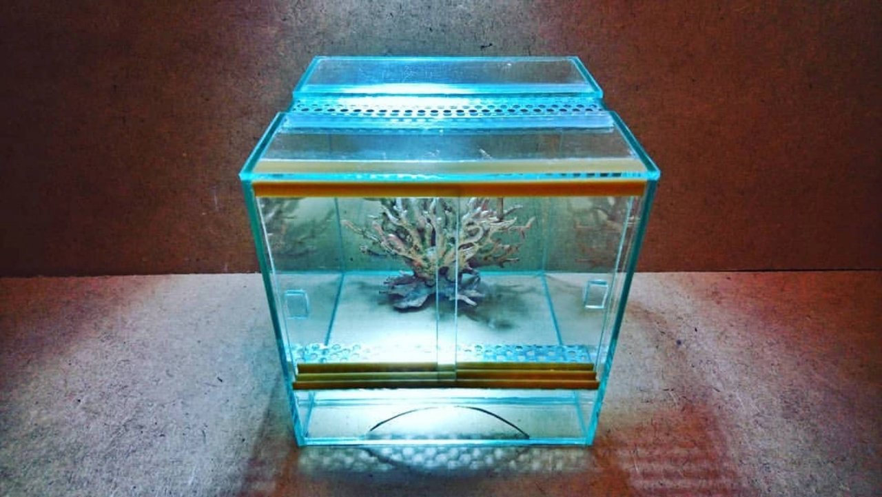 Как сделать Террариум своими руками (с дверцами и вентиляцией)